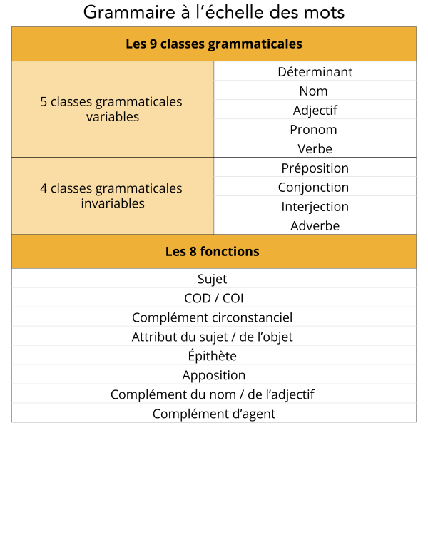 4. L'adjectif et ses fonctions